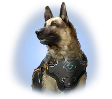 The First Descendant Fellow Unlock | Leprestore