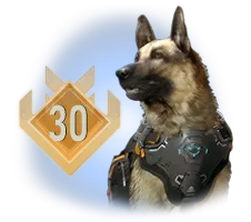 Buy TFD Fellow Leveling Service - Fast & Easy | Leprestore