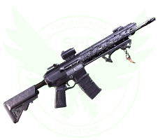 Ravenous - Buy Division 2 Exotic Raid Weapon | LepreStore